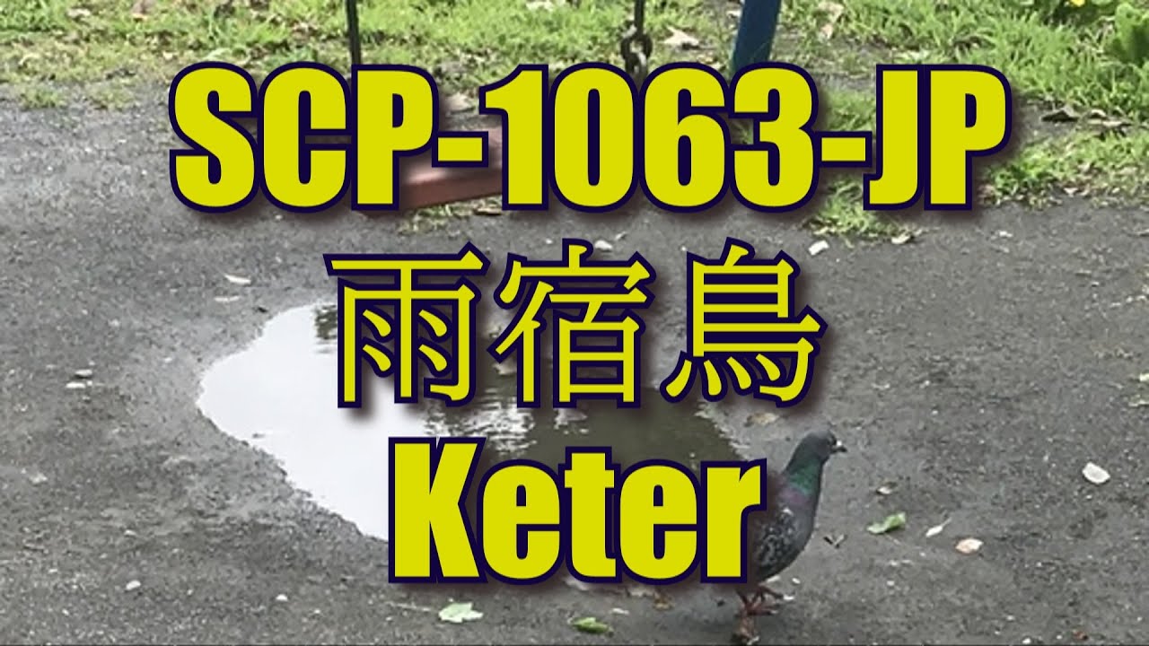 SCP-1063-JP 雨宿鳥 - YouTube
