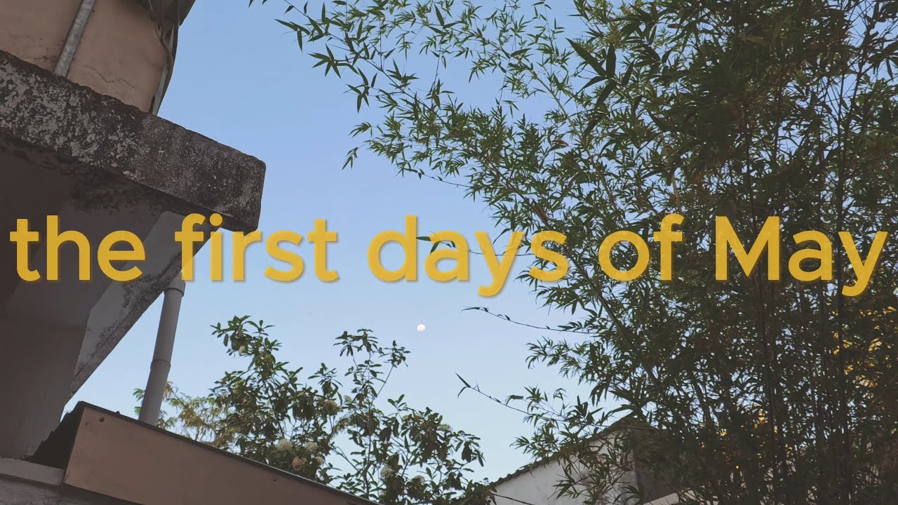 THE DIARY #02: the first days of May - YouTube