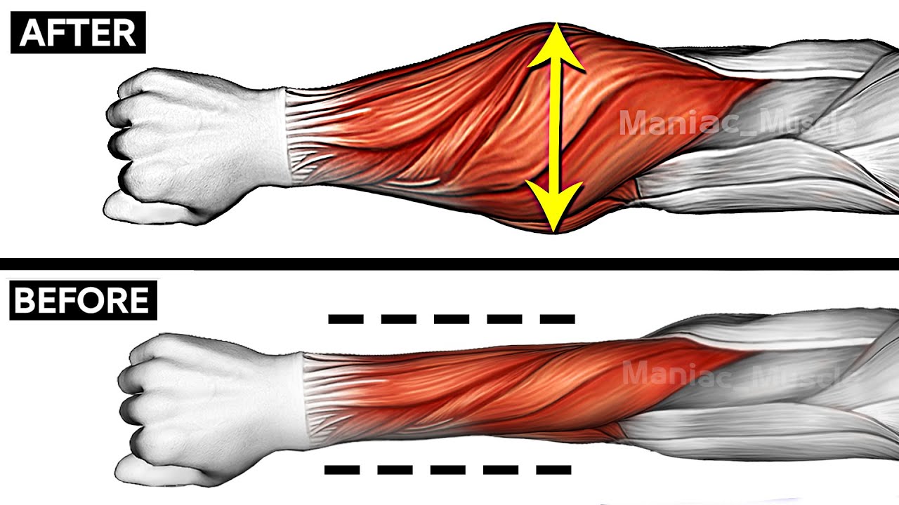 HOW TO BUILD FOREARMS WORKOUT AT GYM 🔥 (Wrist workout) - YouTube