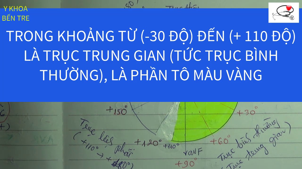 BIỂU DIỄN TRỤC ĐIỆN TIM TRÊN ĐIỆN TÂM ĐỒ (ECG) - SINH LÝ 1 - YouTube