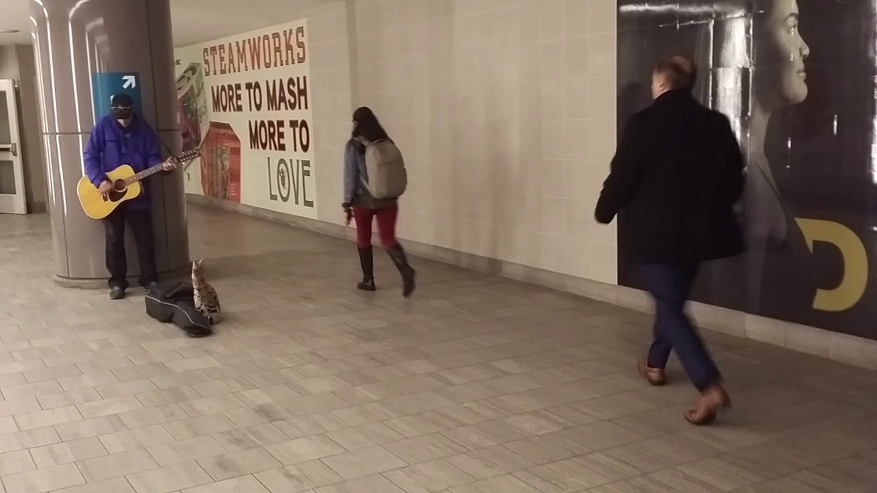 Best Guitarist + Singer @ Train Station/ Tube/ Tunnel, 2020 - YouTube