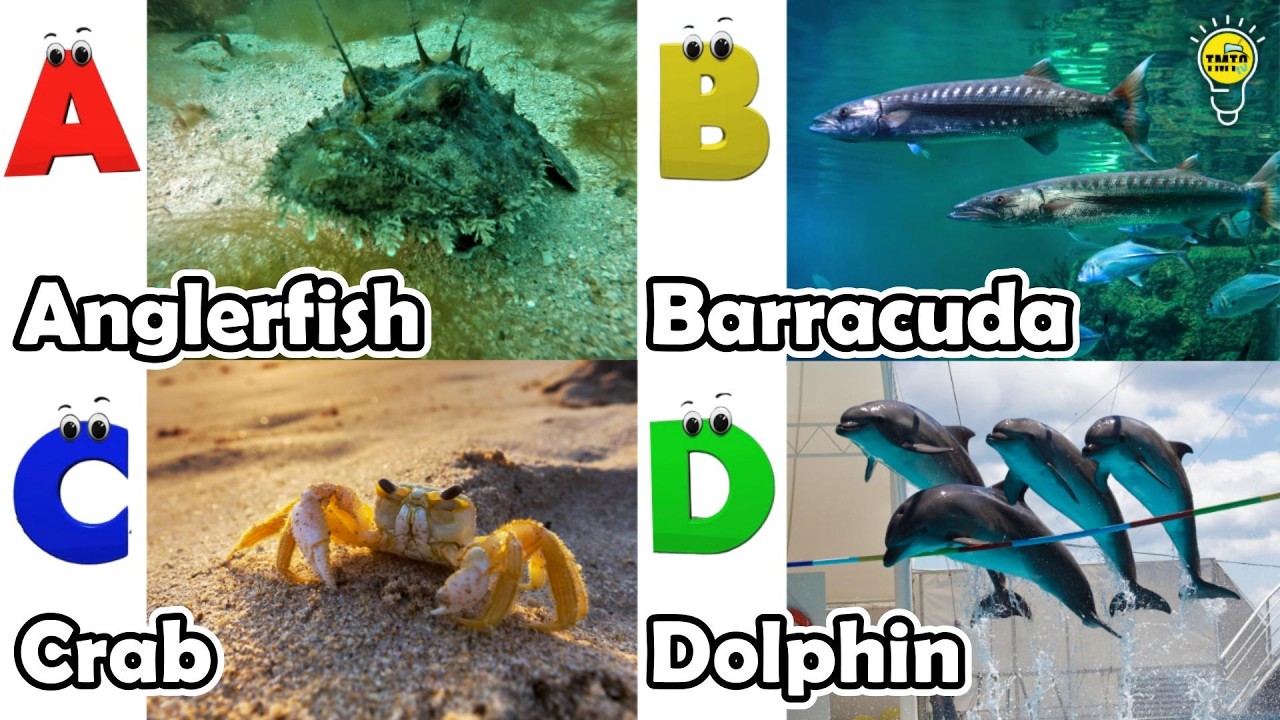 ABC Sea Animals song | Learn Alphabets | English and Animals for Kids ...