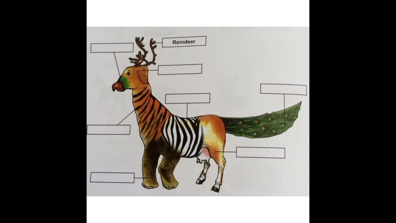 UGSN CREATIVE THINKING TRENDS - YouTube