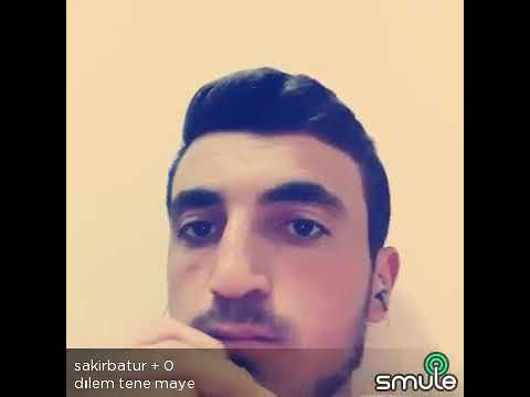 Dılem tene tene maye