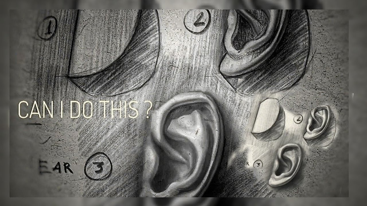 How to Sketch & Draw Realistic Ear-Basics #graphite #pencildrawing # ...
