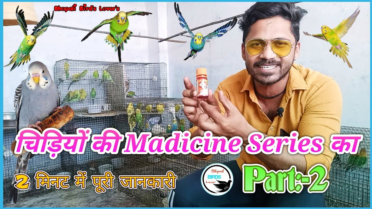 Bajri Bird ki full davaiyon ki jankari//Birds 🐦 Medicine 💊 Series Part ...