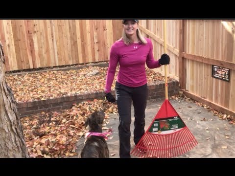 How to rake to avoid back pain - YouTube