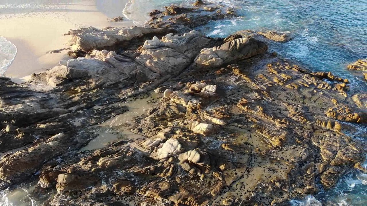 Fish Bomb.... Just sea.... - YouTube