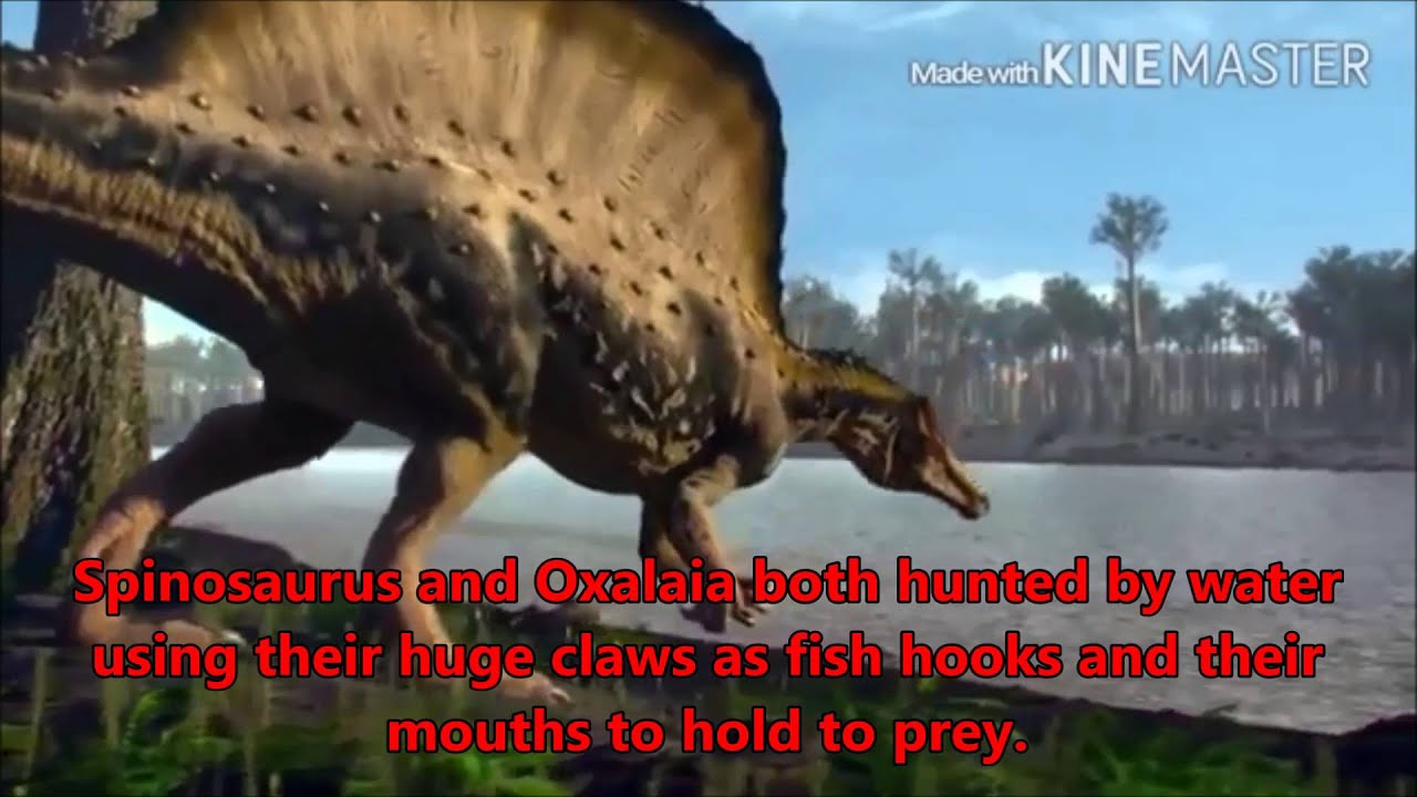 Prehistoric Fight Club Season 1 Finale - YouTube