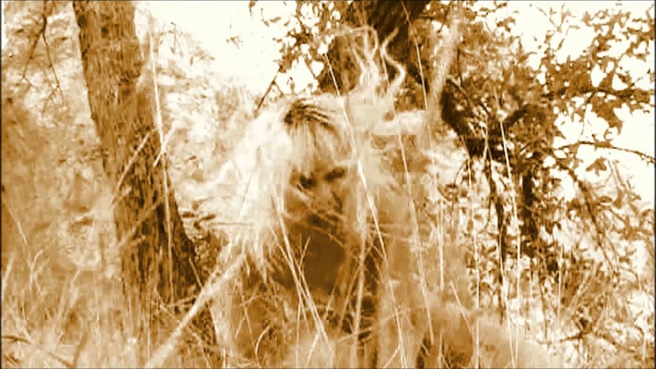 BARB WIRE DOLLS - "Devil's Full Moon" [Official Video] from SLIT (rec'd ...