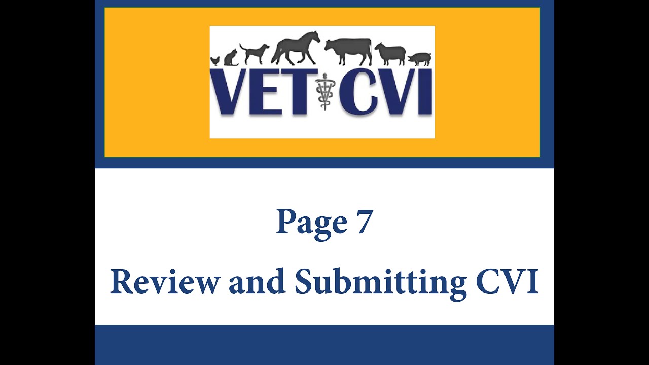 Page 7 Review and Submitting CVI - YouTube