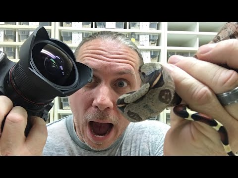 SNAKES AND CAMERAS LIVE!!! | BRIAN BARCZYK - YouTube