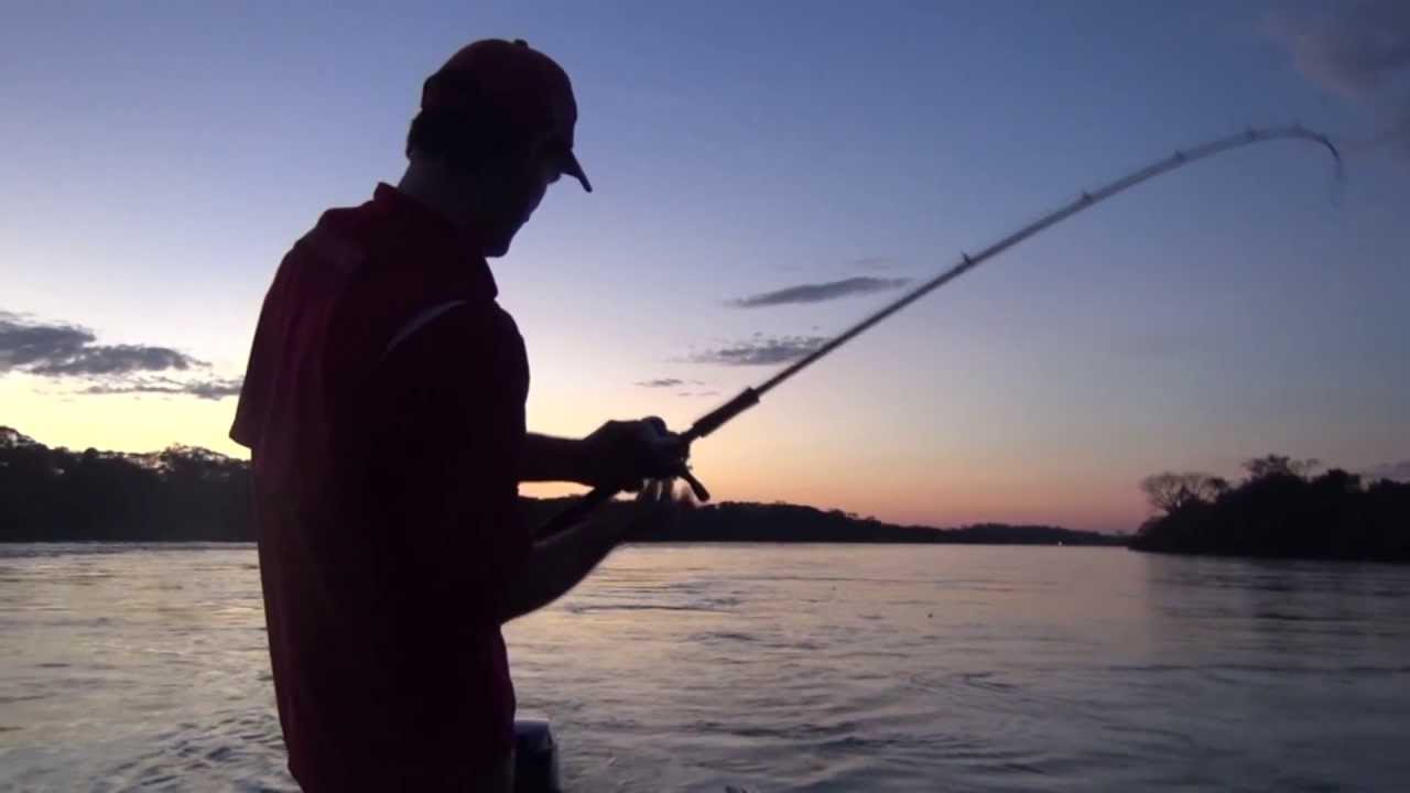 DICA DE COMO ISCAR A TUVIRA NO ANZOL CIRCULAR. PESCARIA DE DOURADO ...
