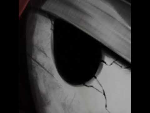 Emisión en directo de Marlof - YouTube