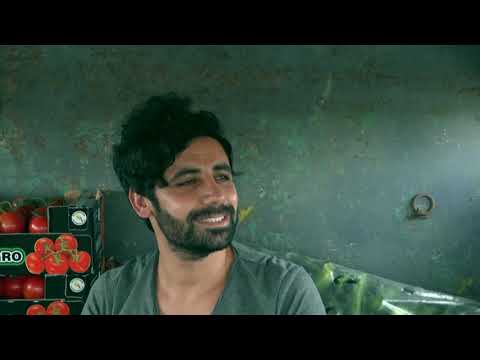 Nilüfer  Film Fragman