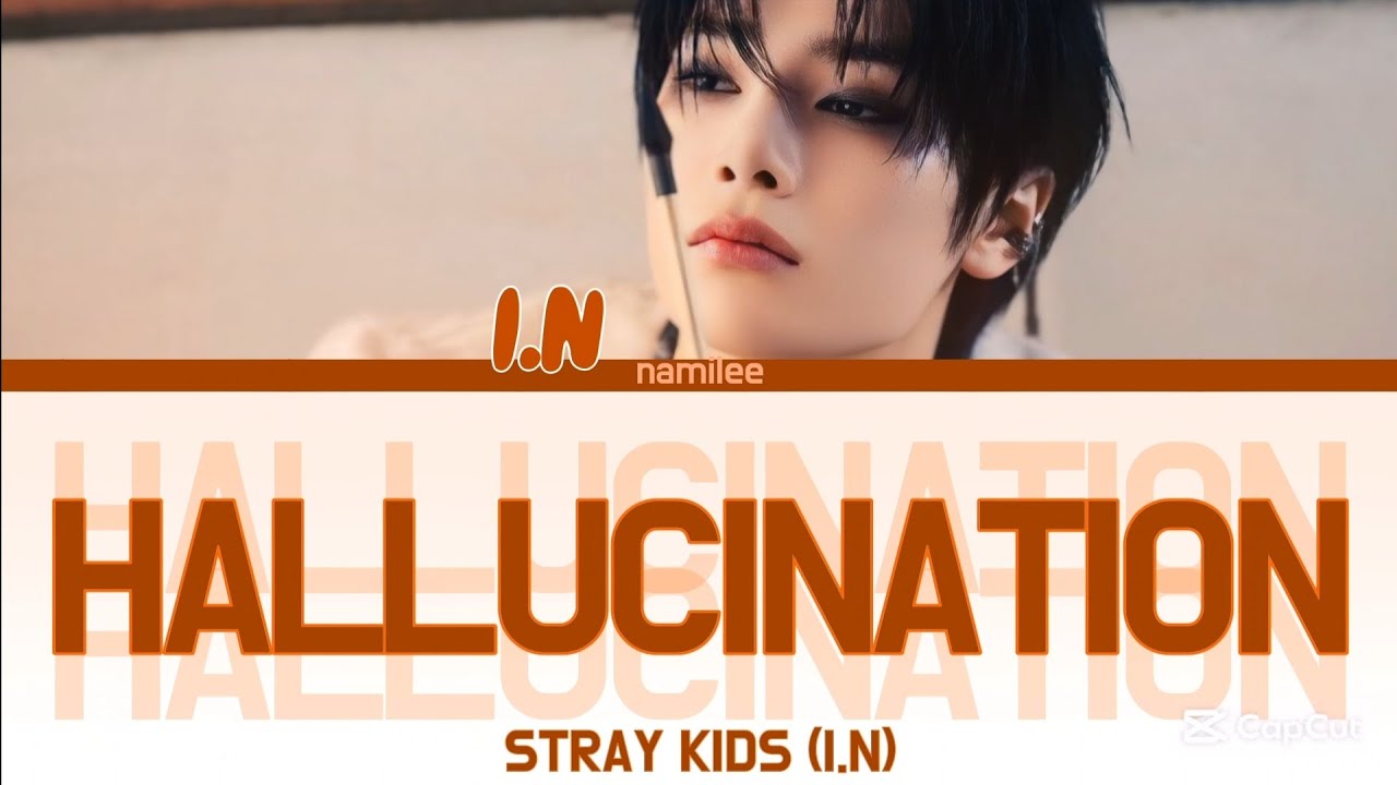 Stray Kids 'HALLUCINATION (I.N)' Color Coded Lyrics|@StrayKids|@namilee ...