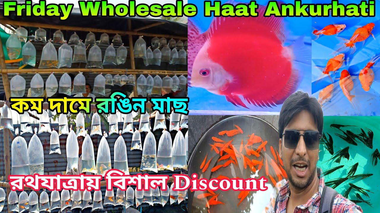 Ankurhati Pet Market | Howrah Aquarium Fish Haat | Pet Shop Near Me ...