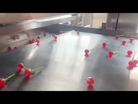 Die-formed Hard Candy Making System Lollipop Production Line Center Filled Lollipop Machine