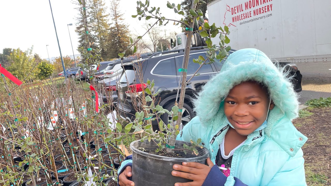 East Bay Roots Project - YouTube