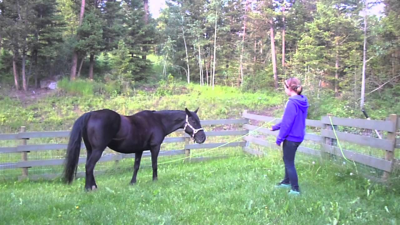 The End Of All Things... [Flicka] - YouTube