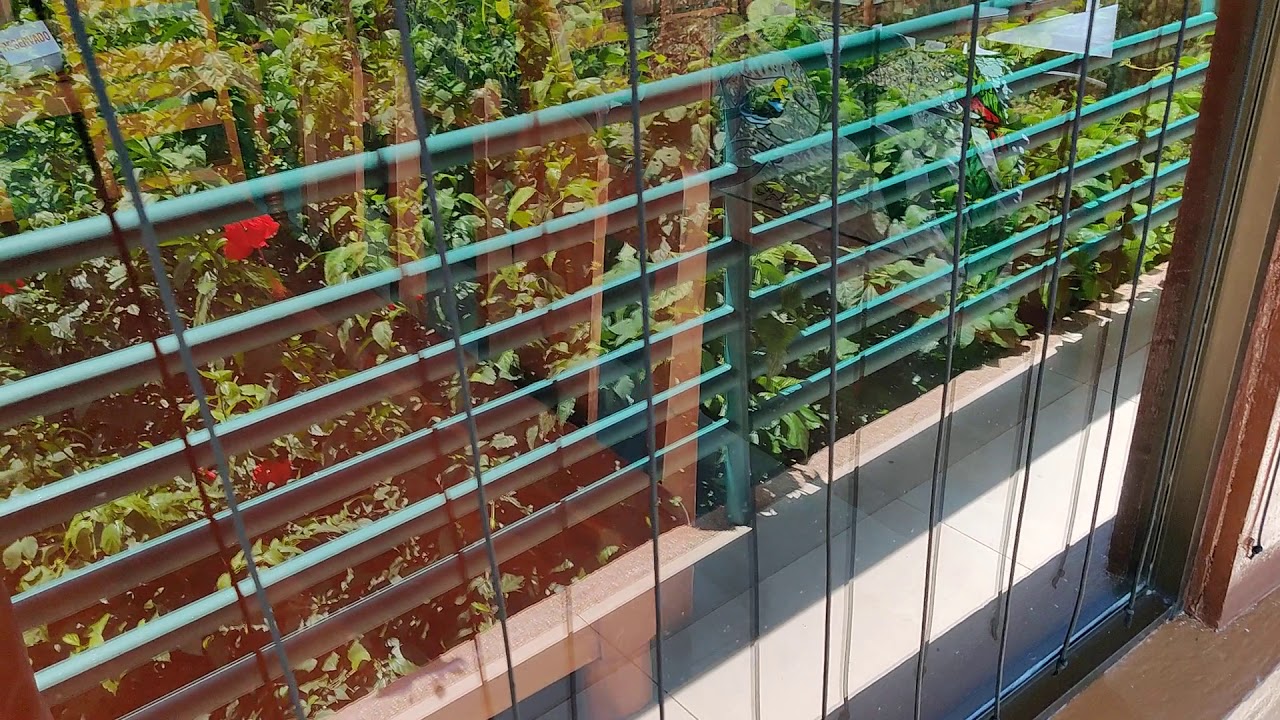 Acopian BirdSavers @ The Arenal Observatory Lodge & Spa - YouTube