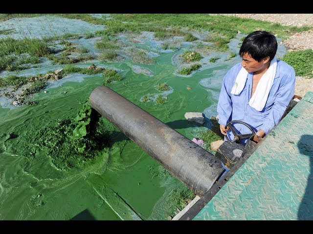 What Are The Causes And Effects Of Water Pollution In China ...