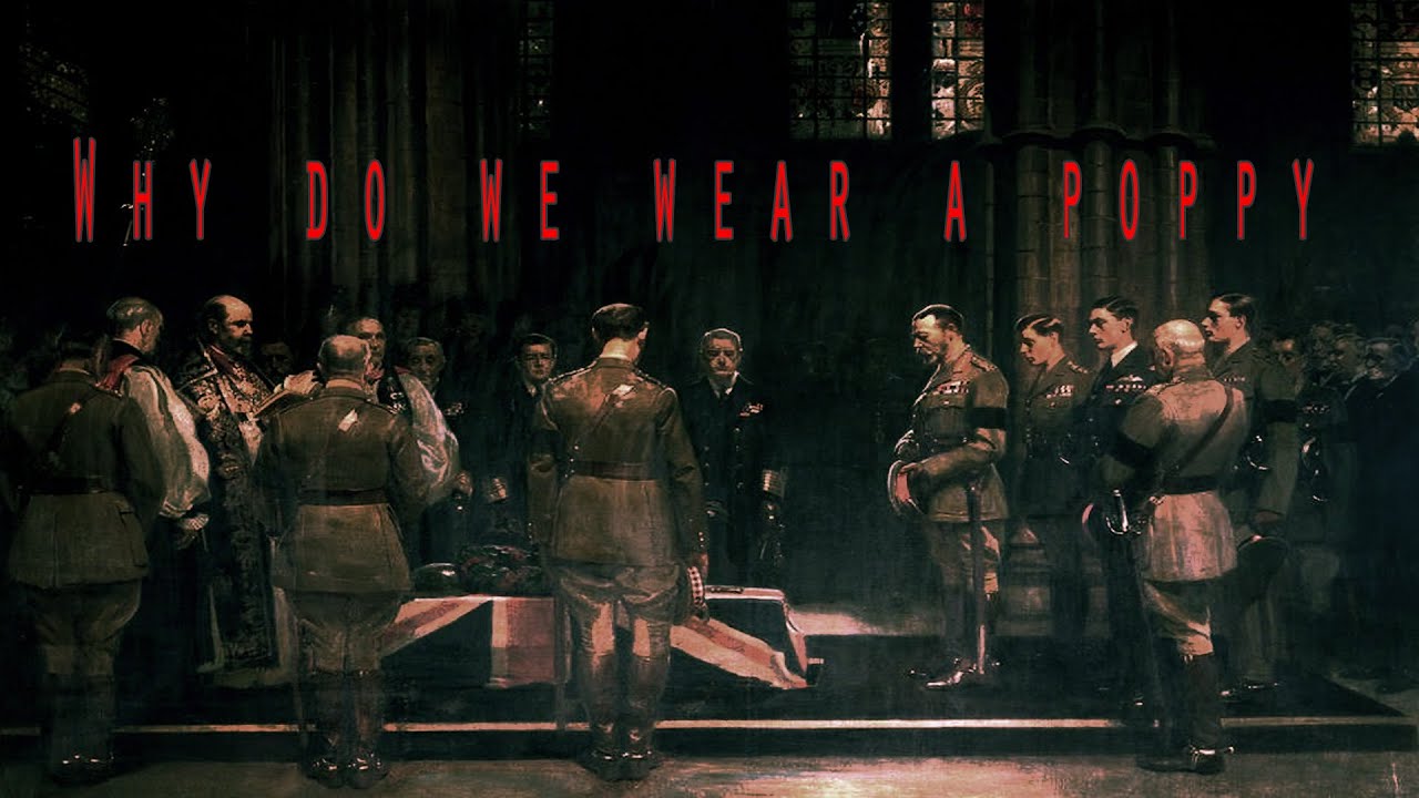 Why do we wear a poppy (short film) a historical observance (2023 ...