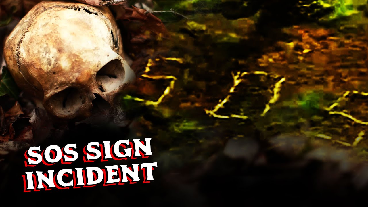 Japan's Mysterious SOS Sign Leads to an Unexpected Rescue | SOS Sign ...