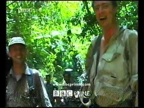 BBC Prime - Ajánlók - 2006