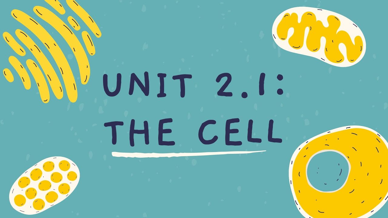 Unit 2.1: The Cell - YouTube