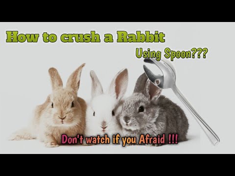 How to Crush a Rabbit | Rabbit Butcher
