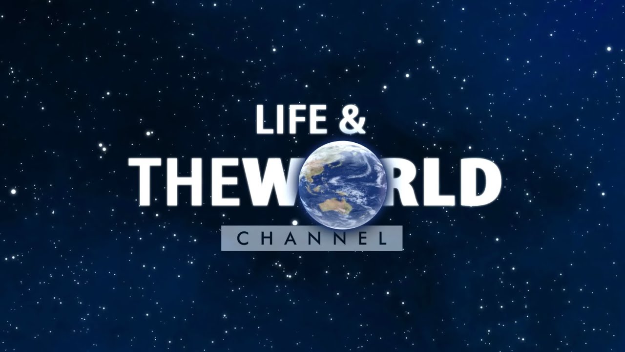 Life & the world channel 🌍 Logo reveal | Logo animation - YouTube