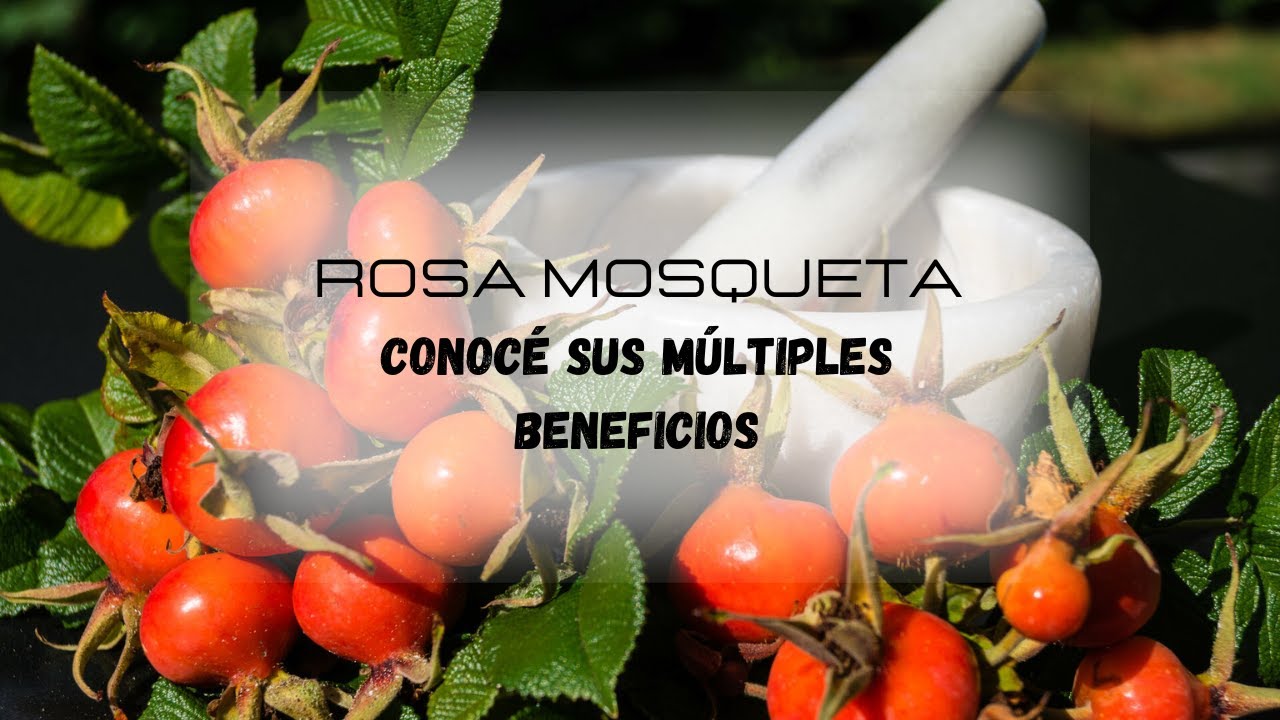 Rosa Mosqueta para la piel y la salud - YouTube