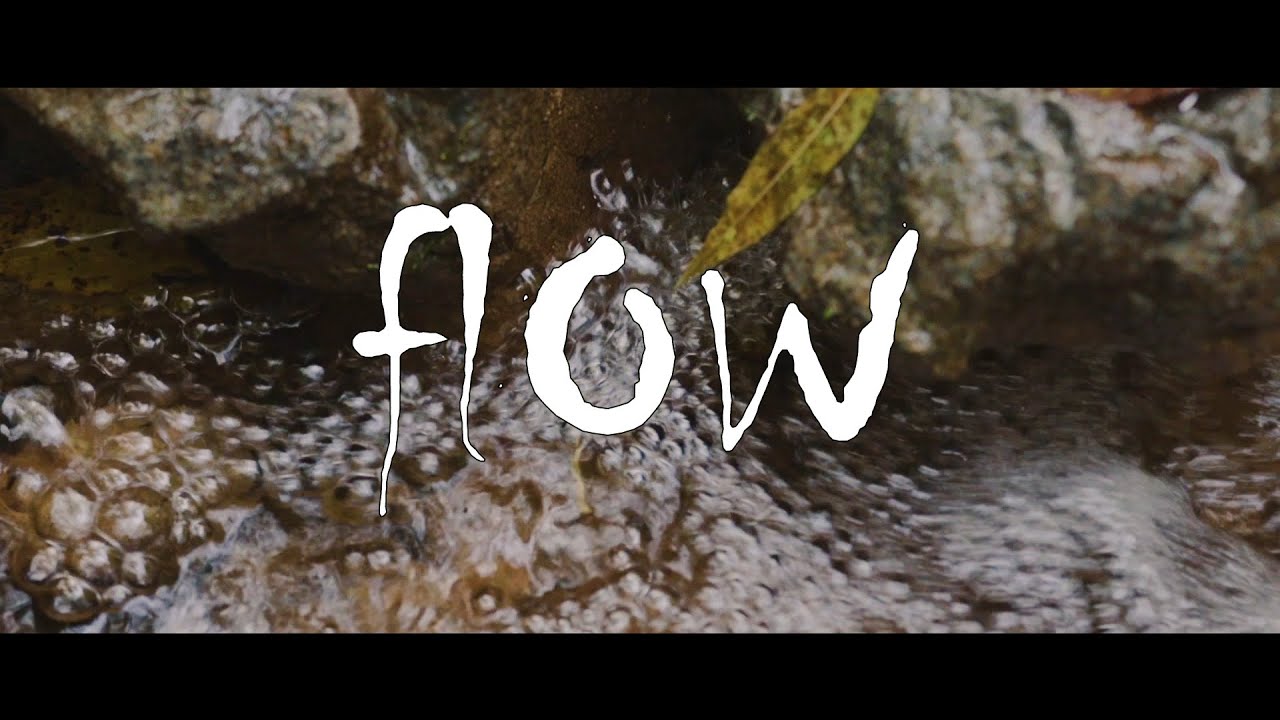 FLOW | CINEMATIC MOVIE | NATURE VIDEOS | - YouTube