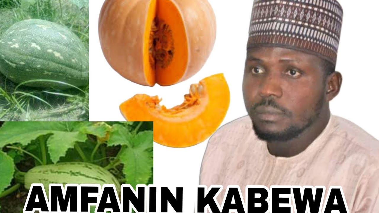 01 AMFANIN KABEWA () SHEIKH MUHAMMAD BUKAR JALALAINI - YouTube