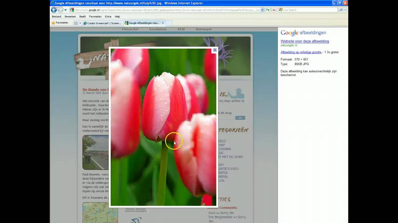 Plaatjes van internet in Word of Powerpoint - YouTube