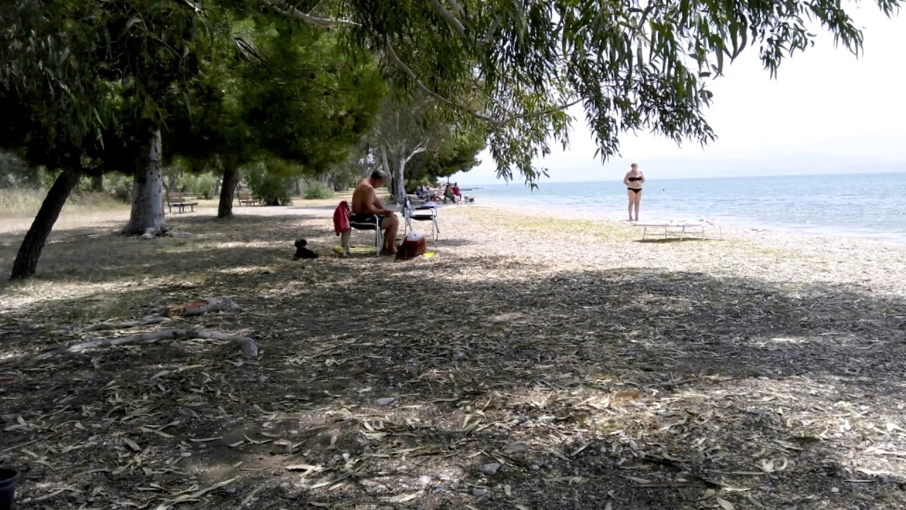Παραλία Μπαρότα(πρώην Eva camping) Evia - YouTube