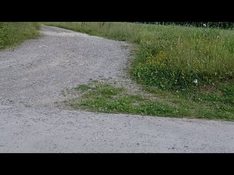 Vamos a un lugar apartado a descansar un poco - YouTube