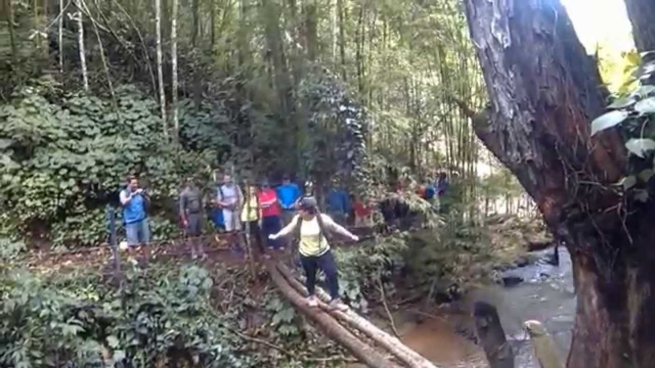 ABVida Entre Cabuyas, Cipreses y Encanto 19-07-2015 - YouTube