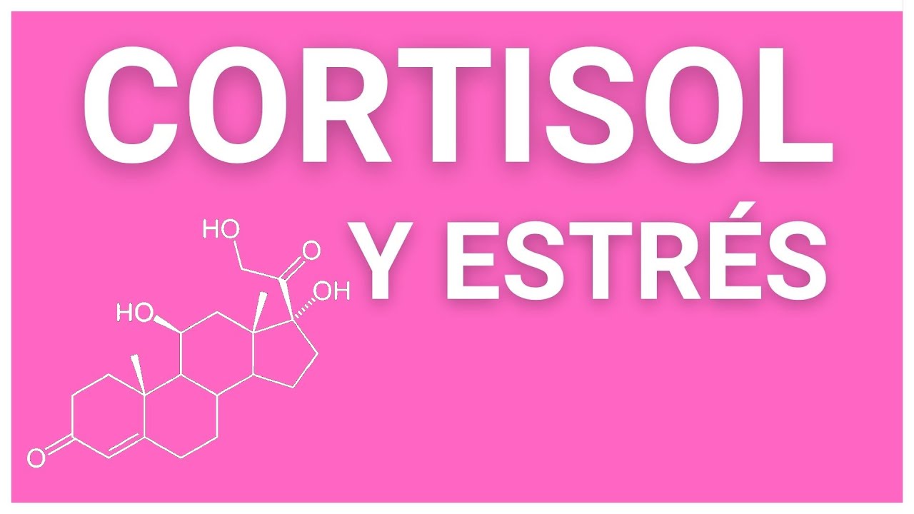 ¿qué Es El Cortisol Cómo Funciona Y Cómo Afecta Al EstrÉs La Hormona