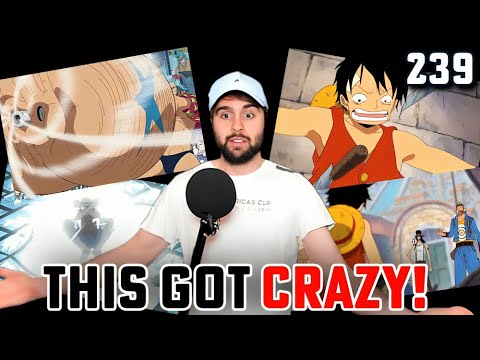 Water 7 got crazier... | One Piece Episode 239 Reaction - YouTube