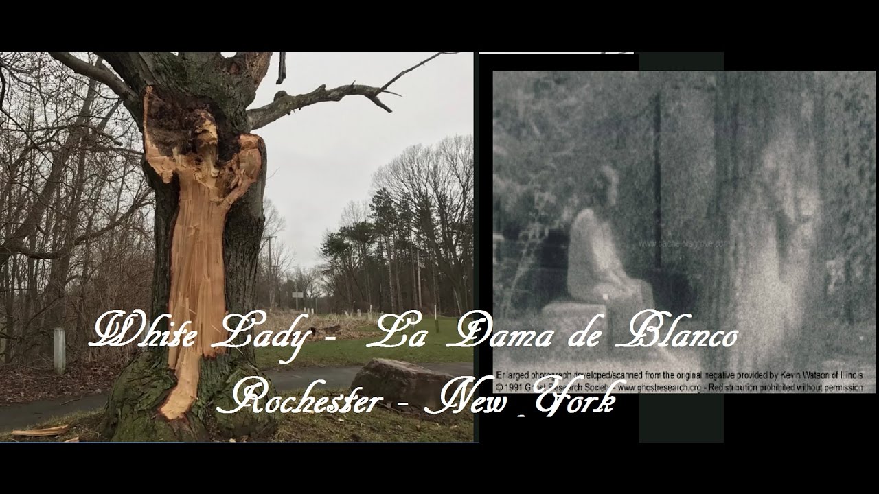 Lady in White ¨La Dama de Blanco¨ en el parque Durand-Eastman Park ...