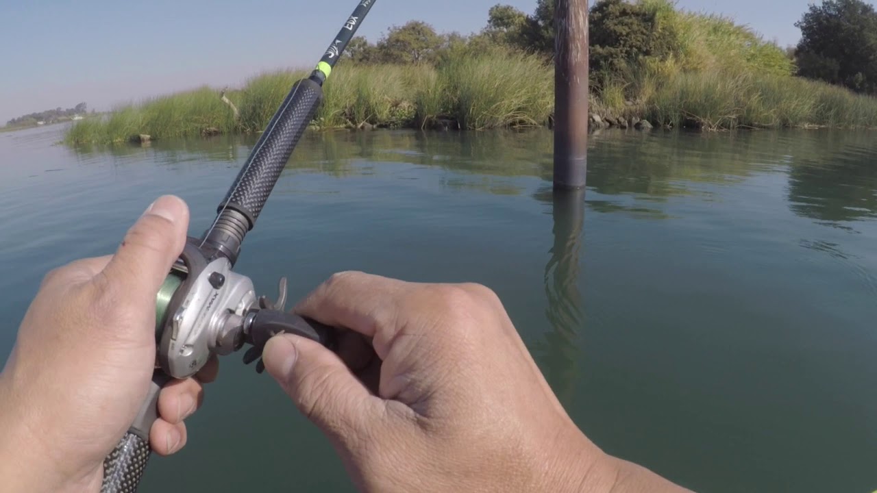 Seadoo LRV Rio Vista stripper and bass - YouTube