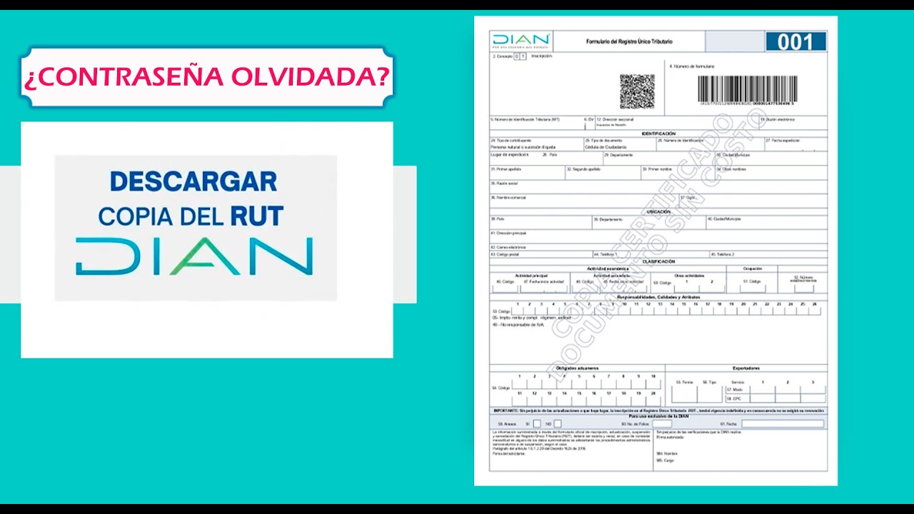 Cómo Descargar el RUT en la DIAN | Tutorial Completo Actualizado 👀 Leer ...