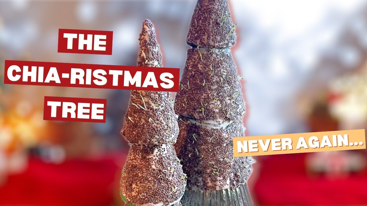 Never Growing A Chia Christmas Tree Again…. - YouTube