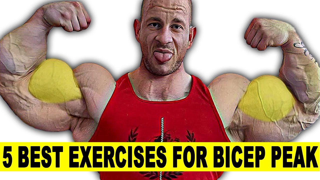 Top 5 Best exercises To Build Bicep Peak - Massive And Round Peaky ...
