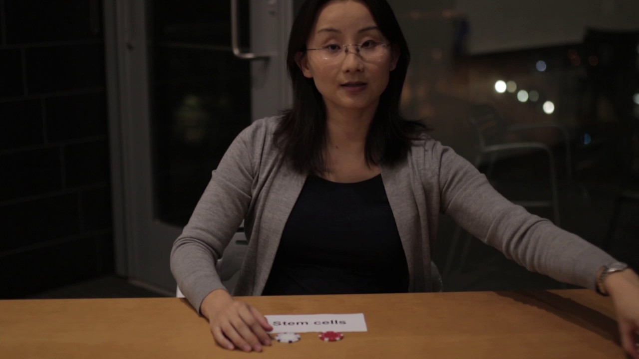 USC scientist Rong Lu studies how stem cells work together - YouTube