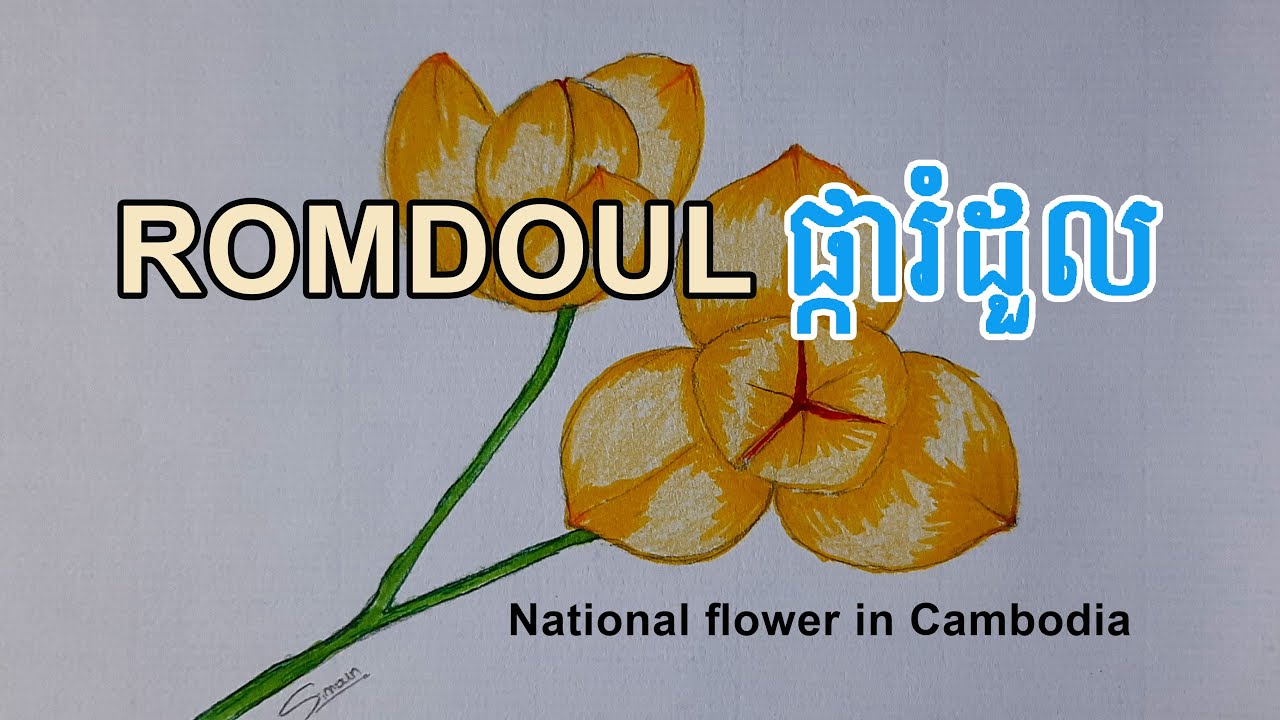 How to Draw Romdoul Flower Easy / ផ្ការំដួល/ National Flower #Cambodia ...