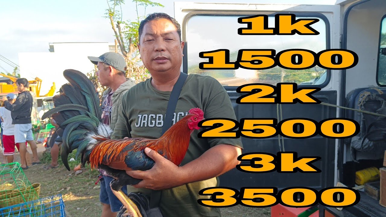 DEC 1 2023 PURE McLean hatch SOLID at Ang mga presyohan na 1k 1500 2k 2500 Hanggang 3500 grabe ...