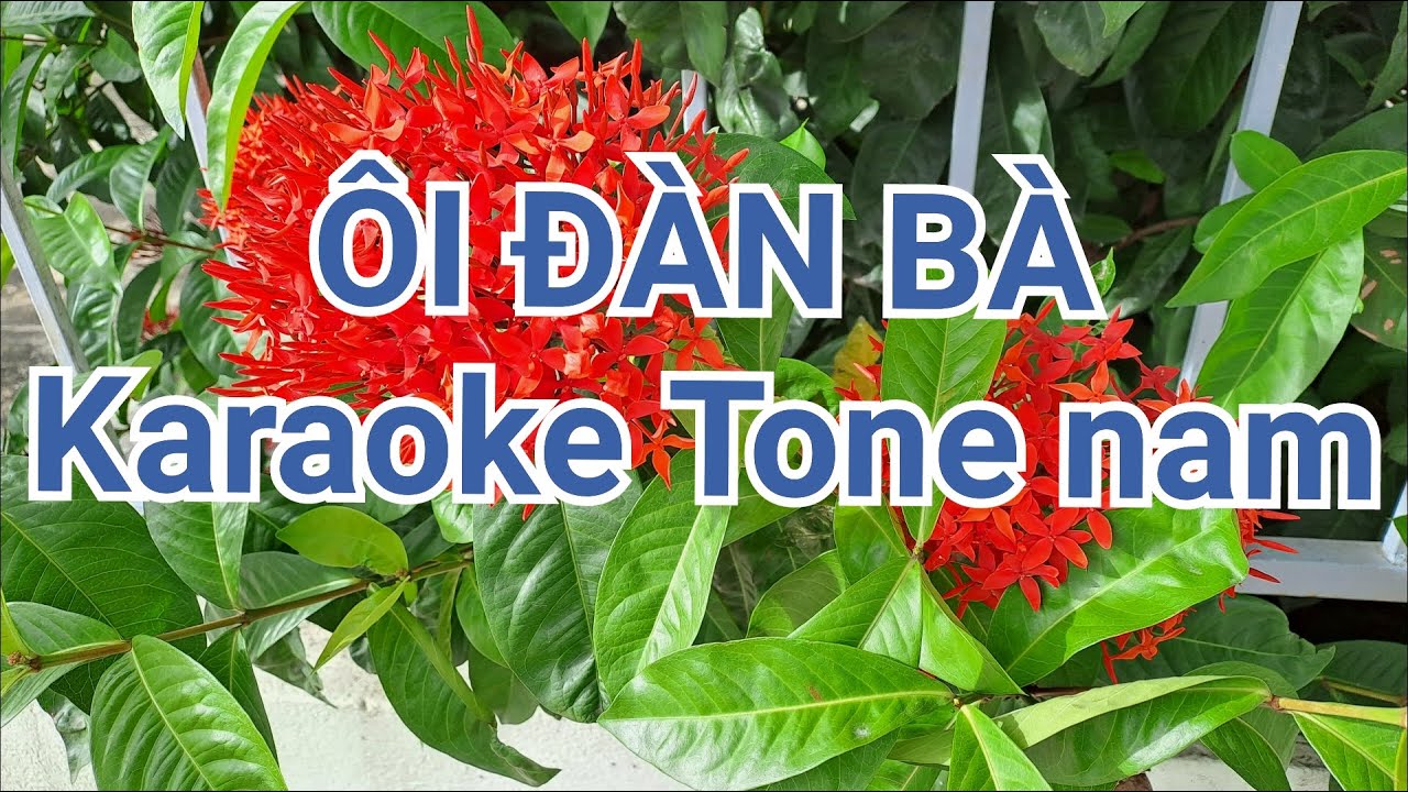 ÔI ĐÀN BÀ - TG: Song Ngọc - Karaoke: Trần Bửu ( Tone nam Fm/Fa thứ ...